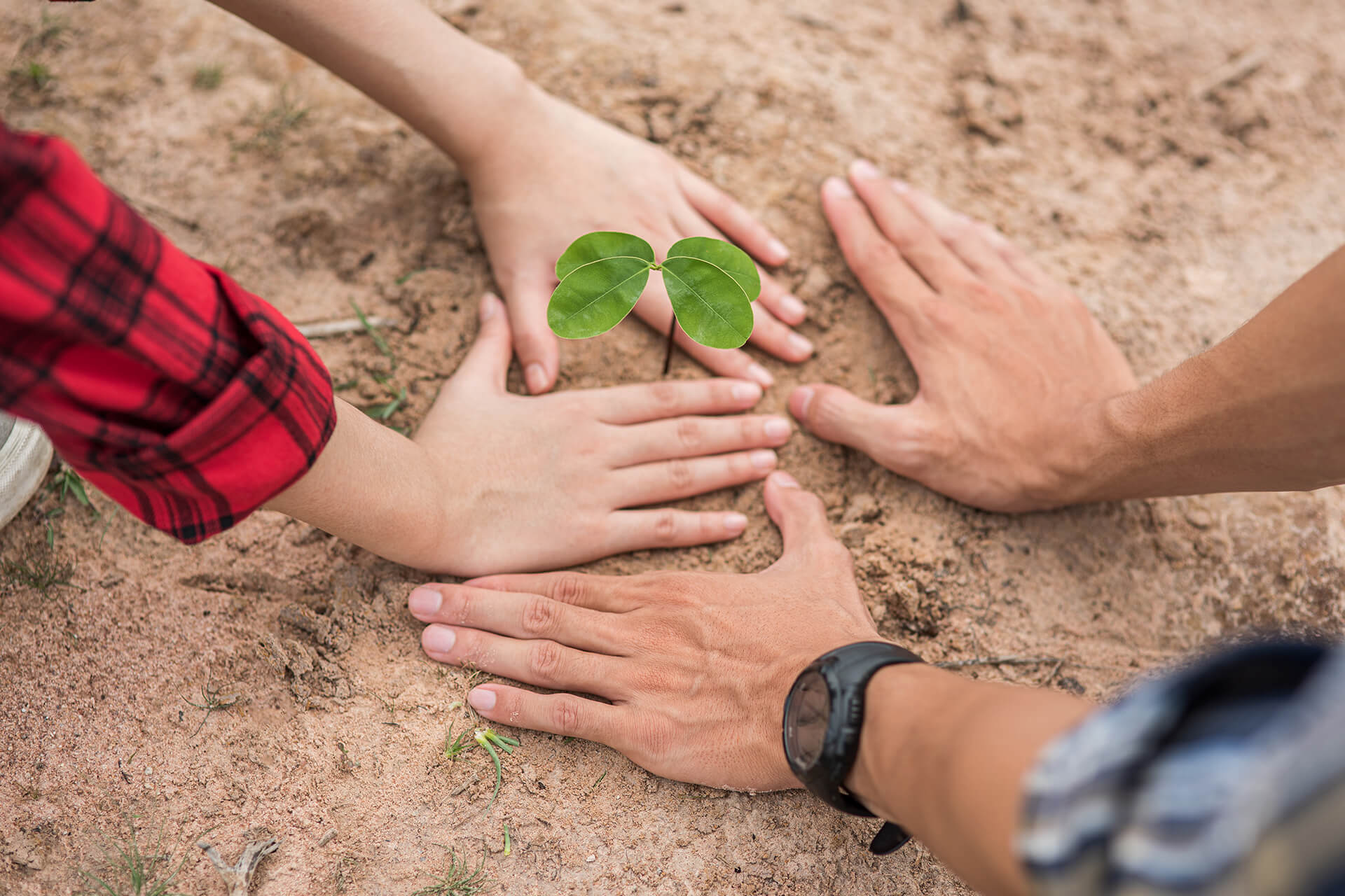 Health promotion & prevention - Australian Care Foundation